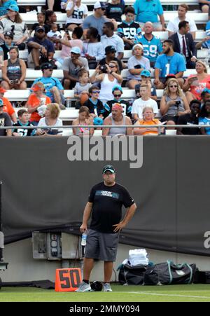 Carolina Panthers owner David Tepper is seen after an NFL football game ...