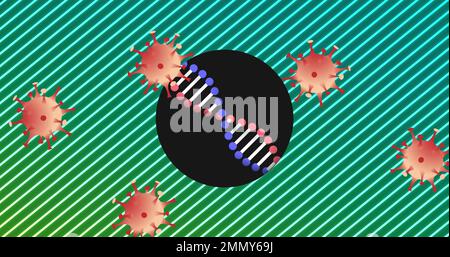 Composition of virus cells over dna strand on black background Stock ...