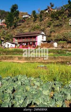 Nepal, Parbat district, Durlung Stock Photo - Alamy