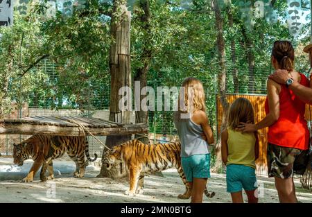France, Haute Garonne, Plaisance du Touch, African Zoo, young girl in a ...