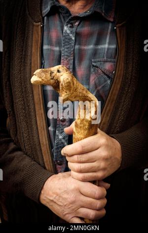 France, Pyrenees Atlantiques, Bearn, Aas, traditional whistlers on the ...