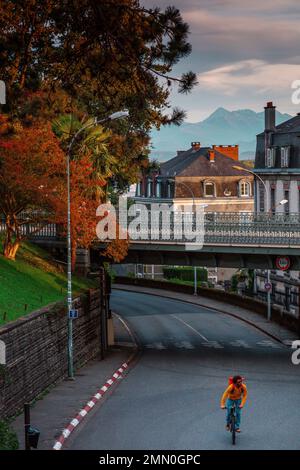 France, Pyrenees Atlantiques, Bearn, Pau, Chateau de Pau, dog sitting ...