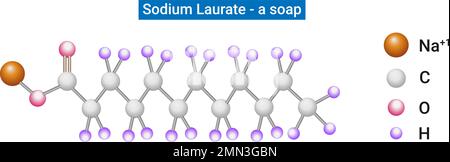 Structure of Sodium Laurate (soap Stock Vector Image & Art - Alamy