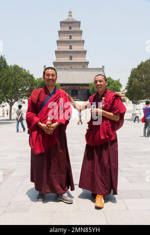 Monk / monks and the Giant Wild Goose Pagoda in grounds of Daci'en ...