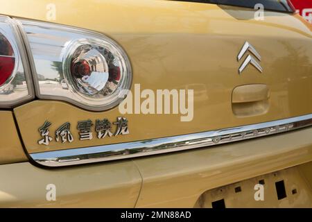 Rear with numberplate and model written in Chinese characters / writing ...