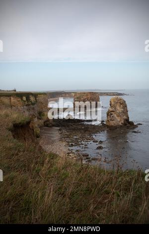 Looking down the coast towards Marsden Bay. The Pub Walk in South ...