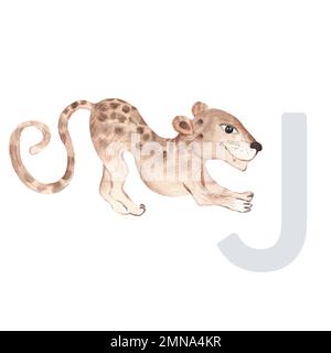 Letter J, jaguar, kids animals ABC alphabet. Watercolor illustration ...