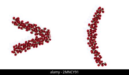 Concept or conceptual set of beautiful blooming red roses bouquets ...