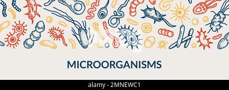 Microorganisms, bacteria doodle set. Collection of funny hand drawn ...