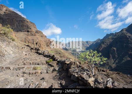 Camino la Merica hiking trail with view of El Guro, Valle Gran Rey, La ...