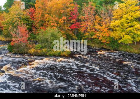 The Sable River with fall foliage color, Nova Scotia, Canada Stock ...