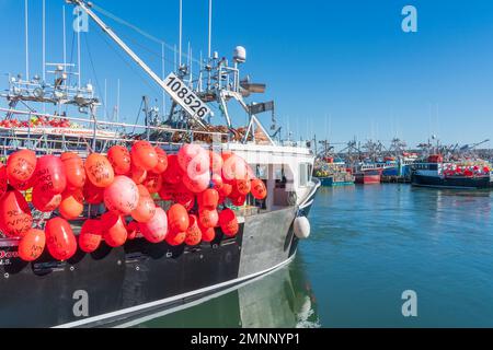 Fishing boats preparing for opening of the fishing season on the docks ...