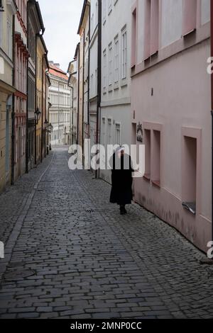Person walking on cobblestone path with greenery Stock Photo - Alamy