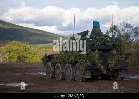 Type 16 Maneuver Combat Vehicle of Japan Ground Self-Defense Force ...