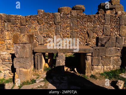 Decorated stone counters in the Roman ruins, North Africa, Djemila ...