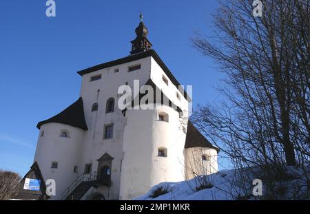 Renaissance castle Novy Zamok or New Castle looks out over trees in ...