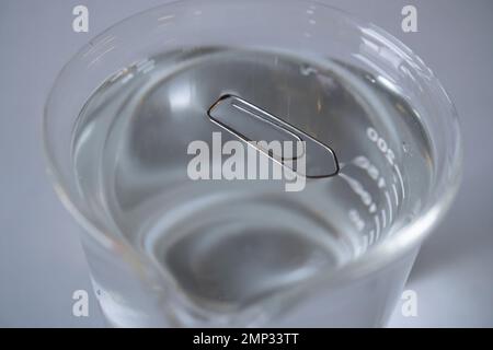a steel needle floating on water to illustrate surface tension Stock ...