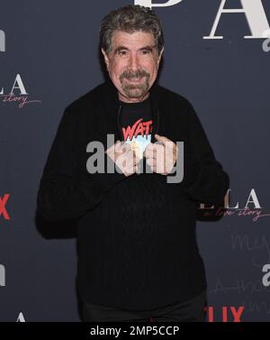 Michael Berk arrives at the Netflix Documentary PAMELA, A LOVE STORY ...