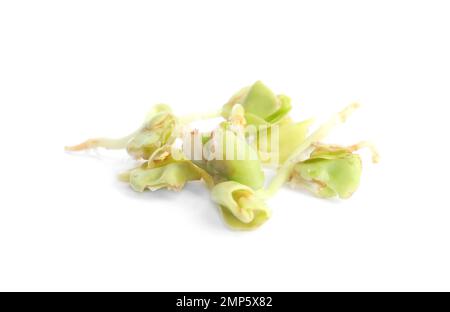 Sprouted green buckwheat grains isolated on white Stock Photo - Alamy