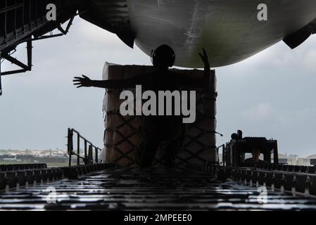 Senior Airman Summer Thomas, 312th Airlift Squadron loadmaster from ...