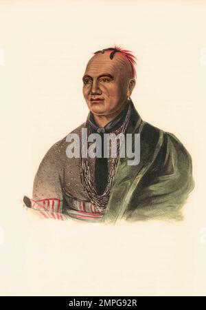 Vintage portrait print of Mohawk military and political leader Joseph ...