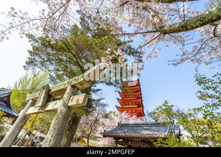 Beautiful scenic of Senjokaku and the five-storied pagoda in Miyajima ...