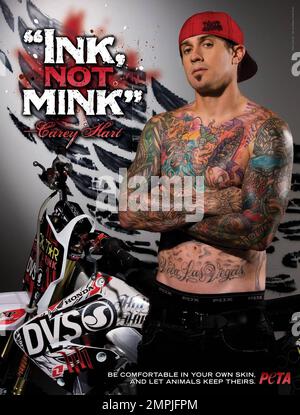 Motocross star Carey Hart unveils his new PETA promotional ad which ...