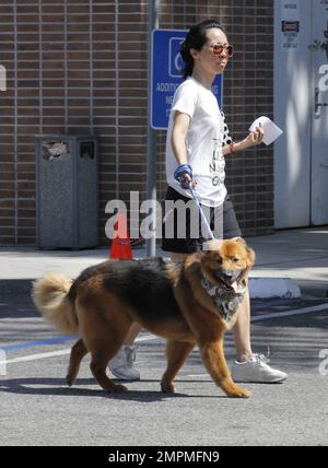 EXCLUSIVE!! Late-night talk show host Chelsea Handler's dog 'Chunks ...