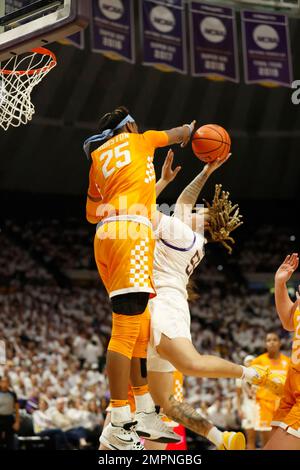 LSU guard Kateri Poole (55) moves the ball down court in the second ...