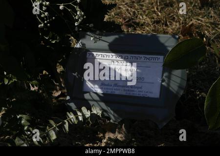 EXCLUSIVE!! Corey Haim's gravesite at Pardes Shalom Cemetery, adorned ...