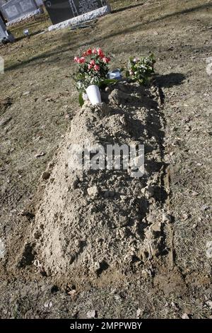EXCLUSIVE!! Corey Haim's gravesite at Pardes Shalom Cemetery, adorned ...