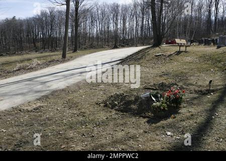 EXCLUSIVE!! Corey Haim's gravesite at Pardes Shalom Cemetery, adorned ...