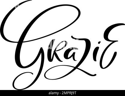 Grazie - thank you in Italian. Modern brush calligraphy. Hand drawn ...