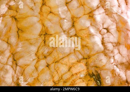 Unusual textures. Abstract non-existent light surface with cracks or ...