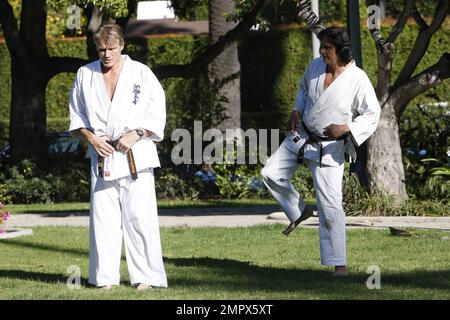 Dolph Lundgren Karate
