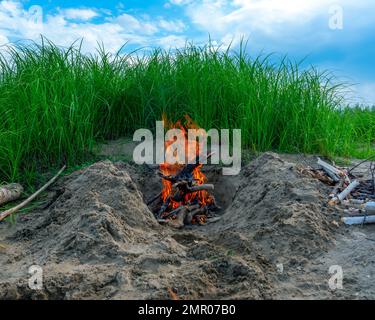 A birch firewood fire burns during the day in the sand next to the tall ...