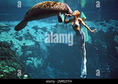 Exclusive!! Want to see a live mermaid? Go to the magical Weeki Wachee ...