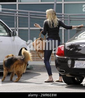 EXCLUSIVE!! Chelsea Handler arrives with her dog Chunk at the "Chelsea ...