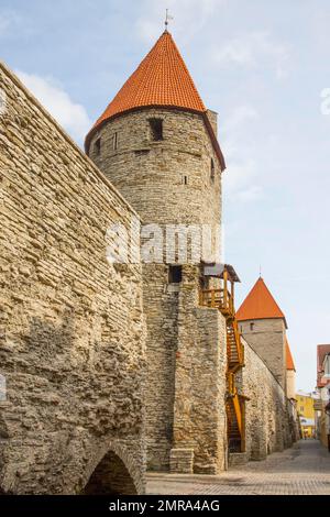 Medieval city fortification with battlements and defence towers ...