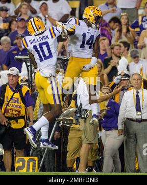 LSU wide receiver Stephen Sullivan (10) celebrates his touchdown ...