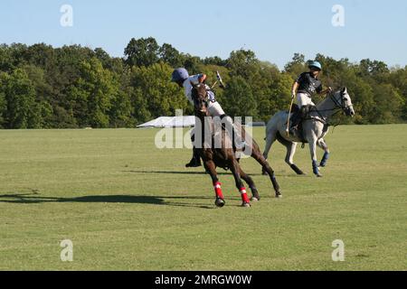 Danis Pediatrics charity Polo match. Glennon Gallop 2022 Stock Photo ...