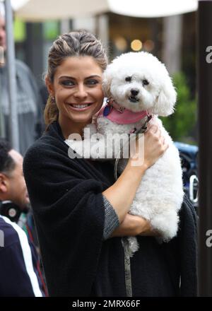 EXCLUSIVE!! Wearing a cast on her foot, Extra host Maria Menounos poses ...