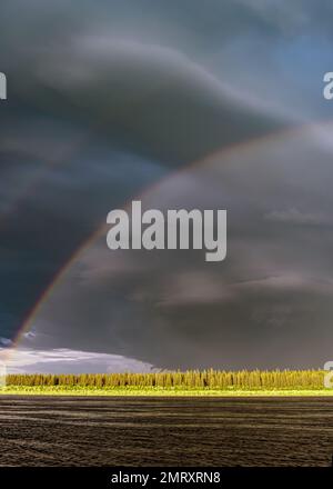 A double rainbow over the Vilyui River after rain against a dark blue ...