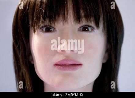 A robot made by the Japanese company Kokoro Co. is on display during a ...