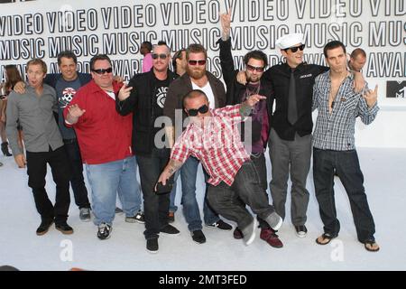 The cast of "Jackass", Johnny Knoxville, Bam Margera, Dave England, Wee ...