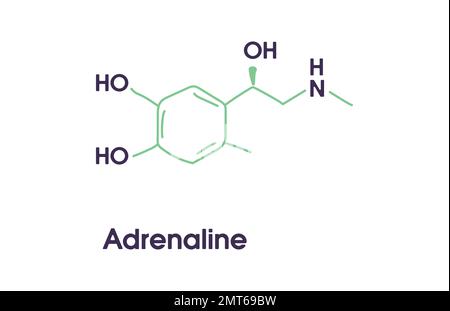 Adrenaline (adrenalin, epinephrine) neurotransmitter molecule. Used as ...