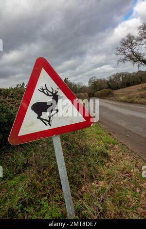 Deer Road Sign, Country lane, Norfolk Stock Photo - Alamy