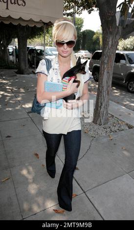 Soon-to-be-jailbird Paris Hilton, holding a puppy and a "Hello Kitty ...
