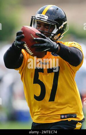 Pittsburgh Steelers linebacker Keith Kelsey (57) during NFL football ...