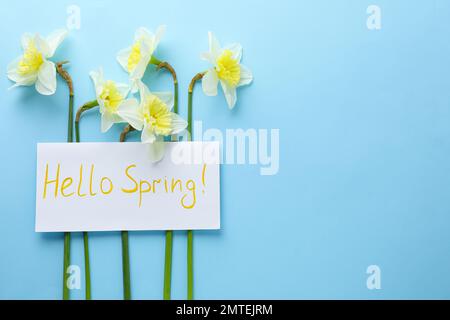 Modern spring card with blue flowers on pink round shape on blue ...
